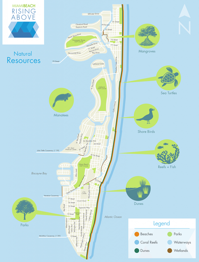 Environmental Resources - City of Miami Beach