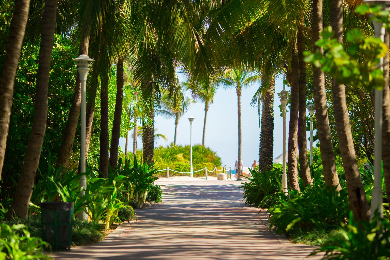 Urban Forestry - City of Miami Beach