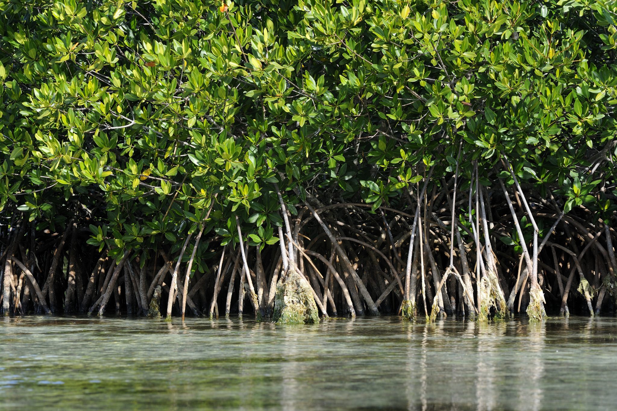 Sustainability and Resilience - City of Miami Beach